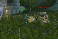 Tripping the Rifts - Wowpedia - Your wiki guide to the World of Warcraft