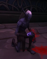 Arcanist Naran - Wowpedia - Your wiki guide to the World of Warcraft