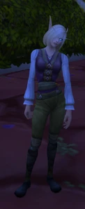 High Elf Pilgrim - Wowpedia - Your wiki guide to the World of Warcraft