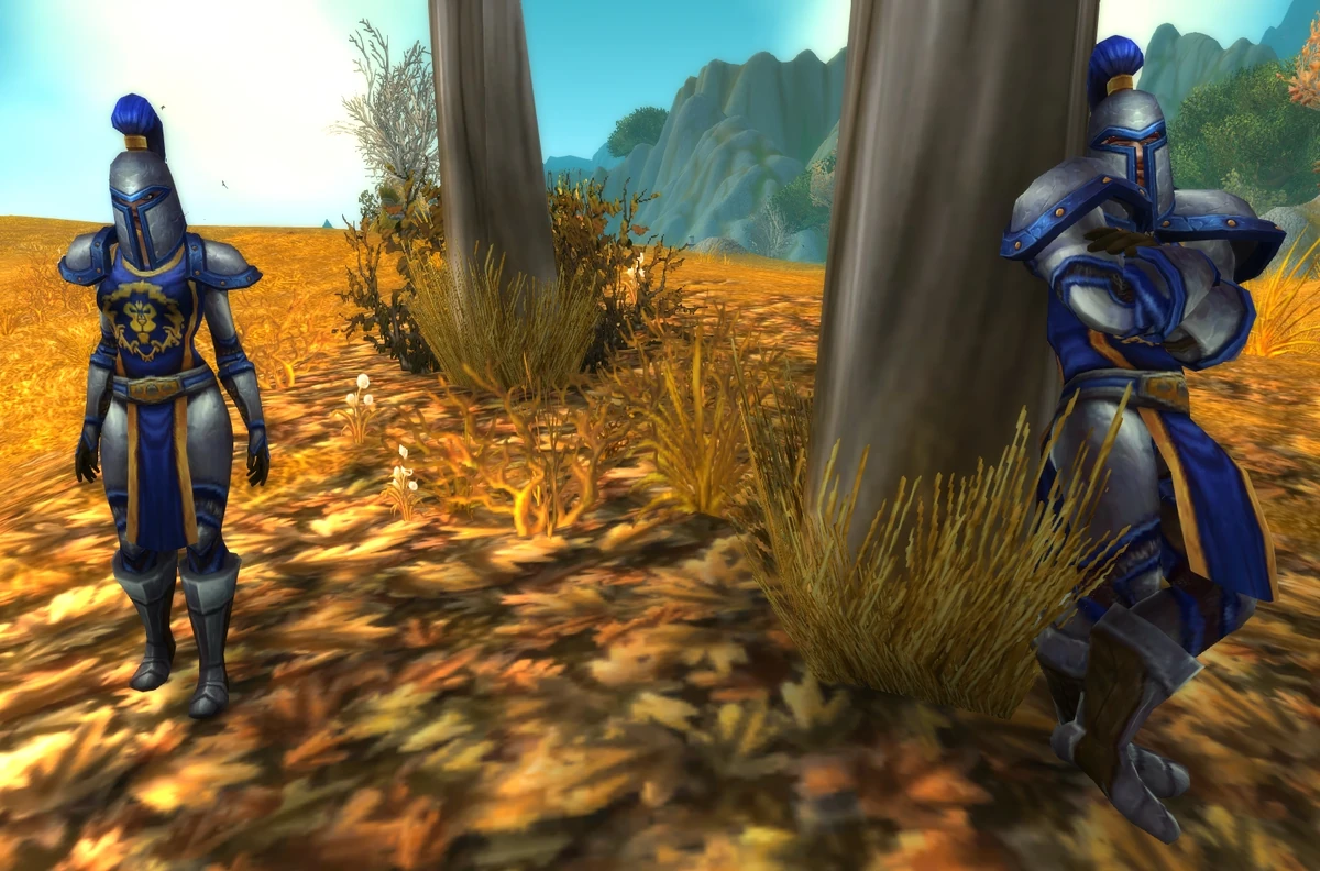 Stormwind Guard (Westfall) - Wowpedia - Your wiki guide to the World of ...