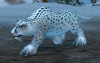 Snow Leopard Cub - Wowpedia - Your wiki guide to the World of Warcraft