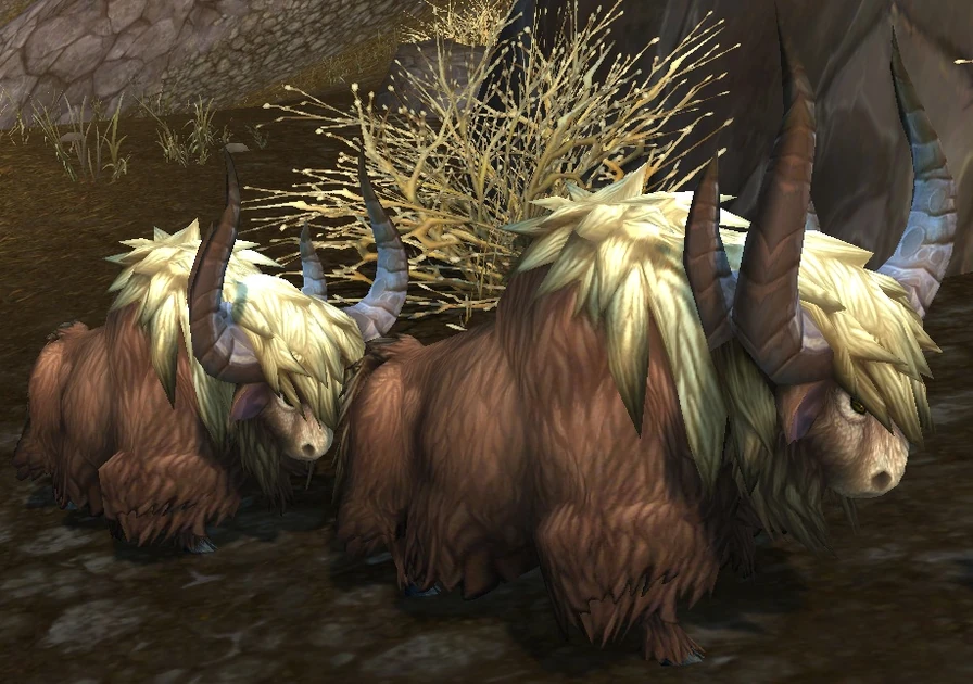Young Mountain Yak - Wowpedia - Your wiki guide to the World of Warcraft
