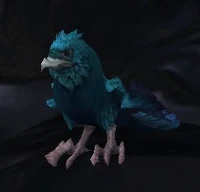 Ravenous Stormcrow - Wowpedia - Your wiki guide to the World of Warcraft