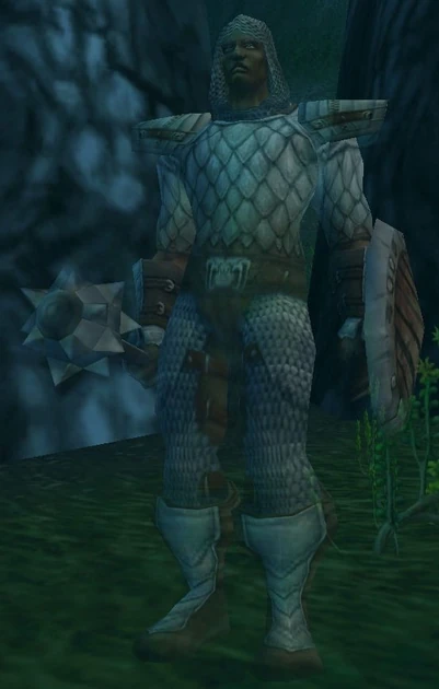 Cursed Paladin - Wowpedia - Your wiki guide to the World of Warcraft