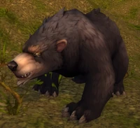 Black Bear (Loch Modan) - Wowpedia - Your wiki guide to the World of ...