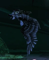 Brood of Anzu - Wowpedia - Your wiki guide to the World of Warcraft