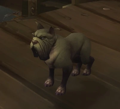 Feral Pup - Wowpedia - Your wiki guide to the World of Warcraft