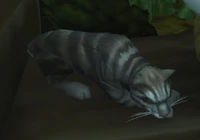 Brain - Wowpedia - Your wiki guide to the World of Warcraft