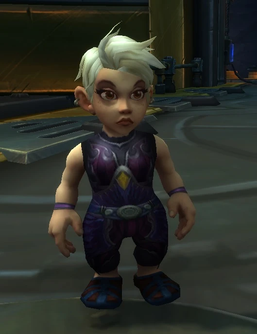 Petra Cogwenne - Wowpedia - Your wiki guide to the World of Warcraft