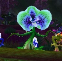 Guardian Lasher - Wowpedia - Your wiki guide to the World of Warcraft