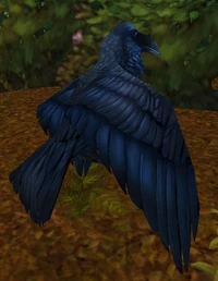 Raven (critter) - Wowpedia - Your wiki guide to the World of Warcraft