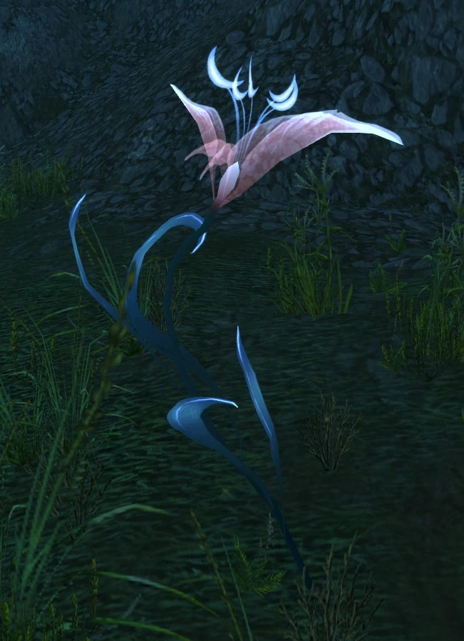 Elune's Grace (item) - Wowpedia - Your wiki guide to the World of Warcraft