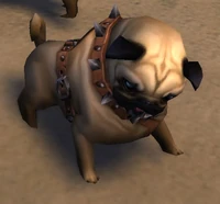 Adopted Puppy - Wowpedia - Your wiki guide to the World of Warcraft