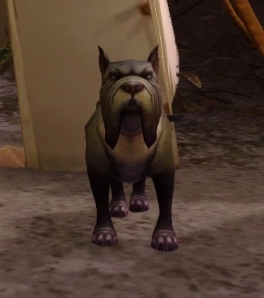 Spitz - Wowpedia - Your wiki guide to the World of Warcraft