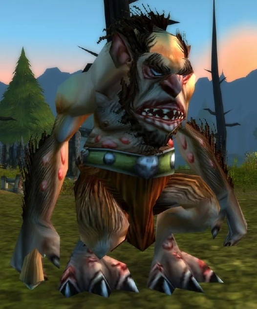 Stonesplinter Shaman - Wowpedia - Your wiki guide to the World of Warcraft