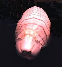 Bore Worm - Wowpedia - Your wiki guide to the World of Warcraft