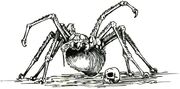 Spider - Wowpedia - Your wiki guide to the World of Warcraft