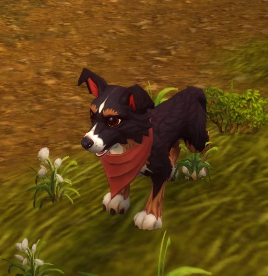 Drake (Stormwind City) - Wowpedia - Your wiki guide to the World of ...