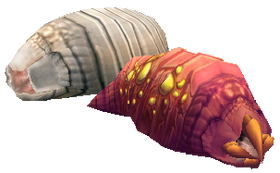 Larva - Wowpedia - Your wiki guide to the World of Warcraft