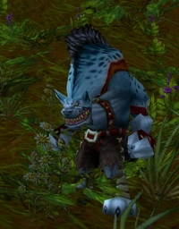 Shadowhide Gnoll - Wowpedia - Your wiki guide to the World of Warcraft