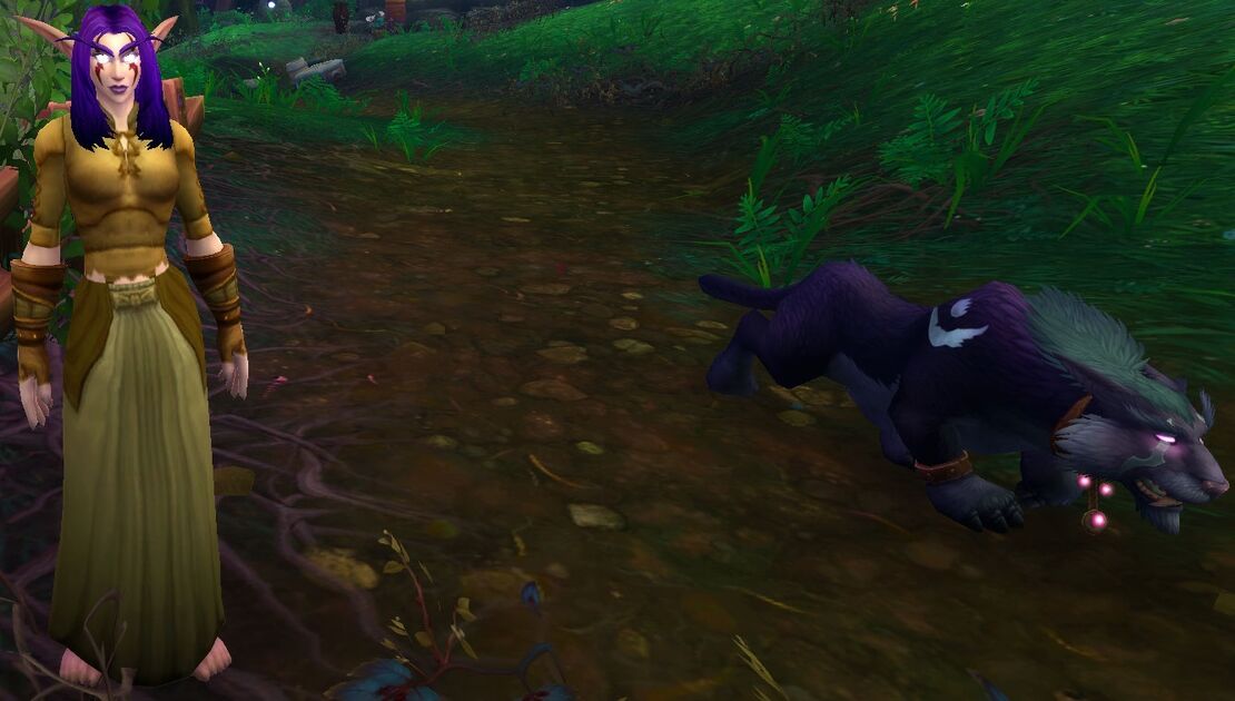 Valsharah Druid Wowpedia Your Wiki Guide To The World Of Warcraft