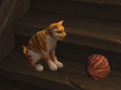 Tiger (cat) - Wowpedia - Your wiki guide to the World of Warcraft