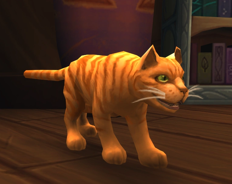Moose (cat) - Wowpedia - Your wiki guide to the World of Warcraft