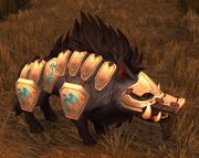 Boar - Wowpedia - Your wiki guide to the World of Warcraft