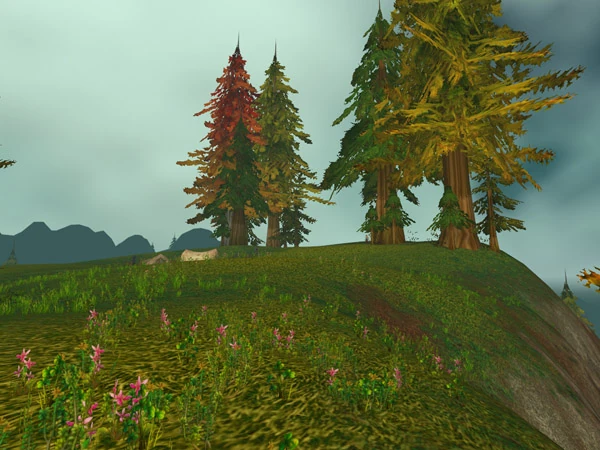 Sofera's Naze - Wowpedia - Your wiki guide to the World of Warcraft