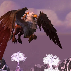 Snowy Gryphon Hatchling