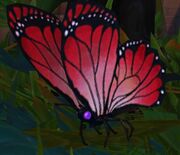 Butterfly - Wowpedia - Your wiki guide to the World of Warcraft