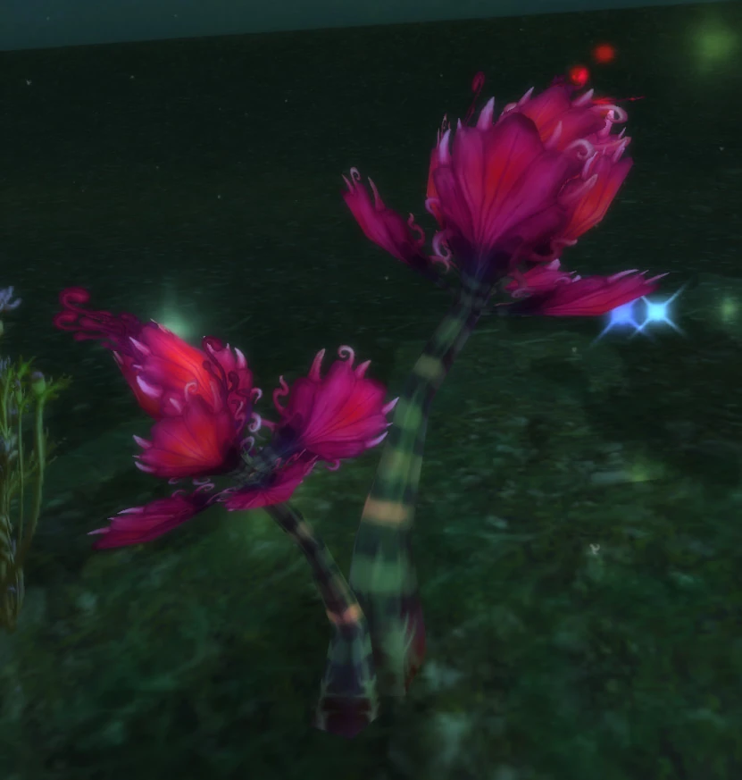 Marrowpetal Stalk - Wowpedia - Your wiki guide to the World of Warcraft