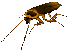 Roach - Wowpedia - Your wiki guide to the World of Warcraft