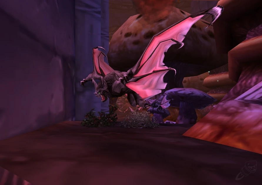 Frenzied Bat - Wowpedia - Your wiki guide to the World of Warcraft
