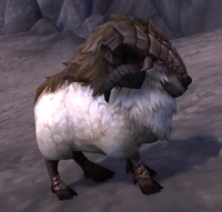 Wooly Ewe - Wowpedia - Your wiki guide to the World of Warcraft