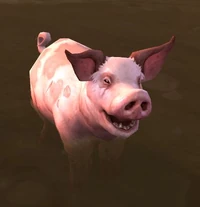 Piggy - Wowpedia - Your wiki guide to the World of Warcraft