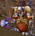 Hamuul Runetotem - Wowpedia - Your wiki guide to the World of Warcraft