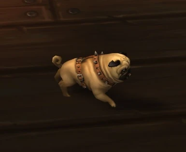 Chloe (pug) - Wowpedia - Your wiki guide to the World of Warcraft