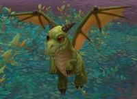 Curious Whelp - Wowpedia - Your wiki guide to the World of Warcraft