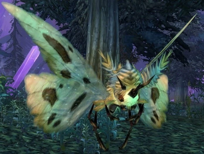 Vale Moth - Wowpedia - Your wiki guide to the World of Warcraft
