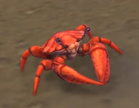 Pygmy Surf Crawler - Wowpedia - Your wiki guide to the World of Warcraft