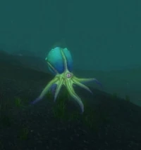 Baby Octopus - Wowpedia - Your wiki guide to the World of Warcraft