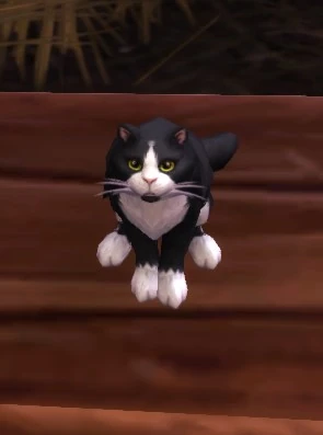 Gizmo (Darkmoon Island) - Wowpedia - Your wiki guide to the World of ...