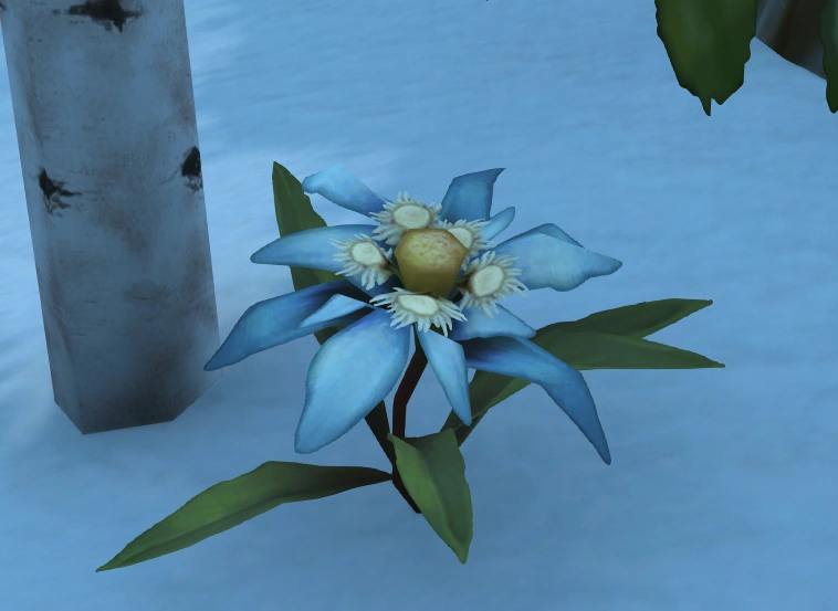Flower of Luck - Wowpedia - Your wiki guide to the World of Warcraft