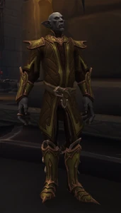 Sinfall Courtier - Wowpedia - Your wiki guide to the World of Warcraft