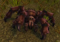 Forest Lurker - Wowpedia - Your wiki guide to the World of Warcraft