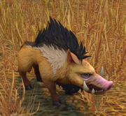 Boar - Wowpedia - Your wiki guide to the World of Warcraft