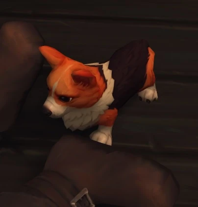 Russell (corgi) - Wowpedia - Your wiki guide to the World of Warcraft