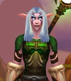 Vestments of Hibernation - Wowpedia - Your wiki guide to the World of ...