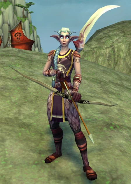 Alliance Sentinel - Wowpedia - Your wiki guide to the World of Warcraft